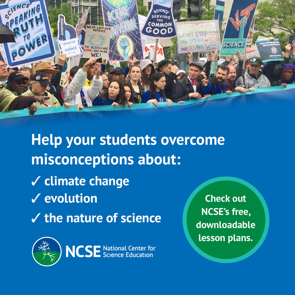 Portfolio - KringDesignStudio_site